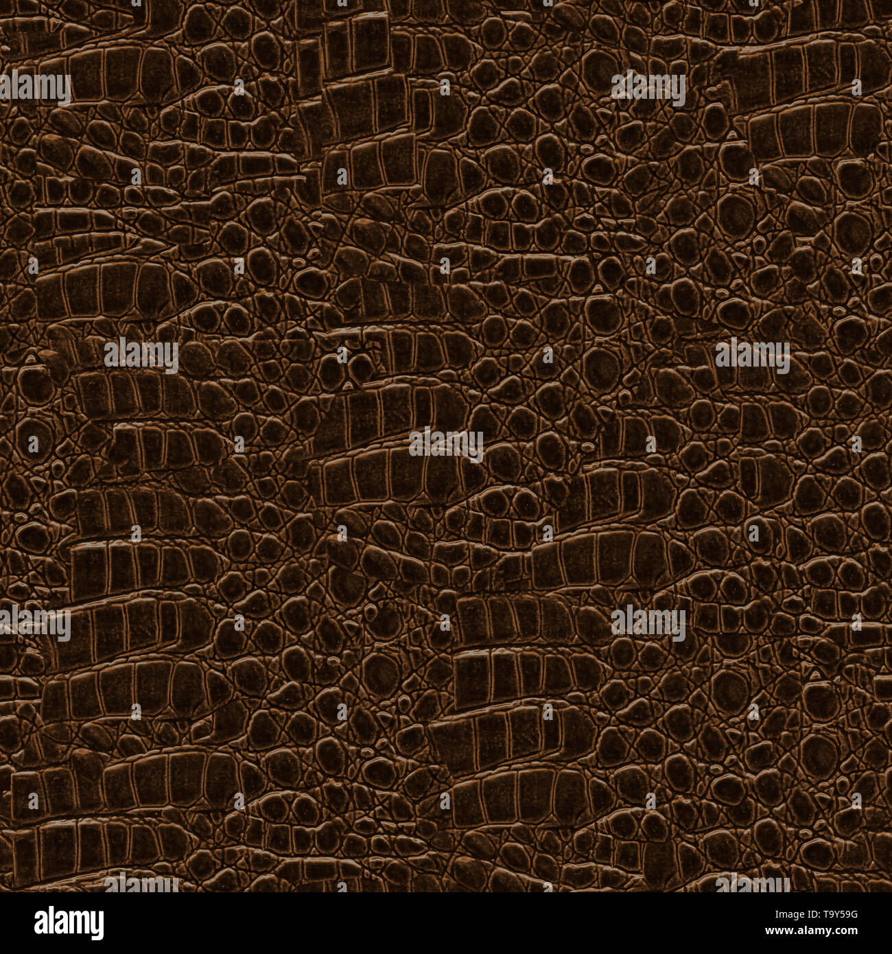 Crocodile Hide Seamless Texture Tile Stock Photo - Alamy