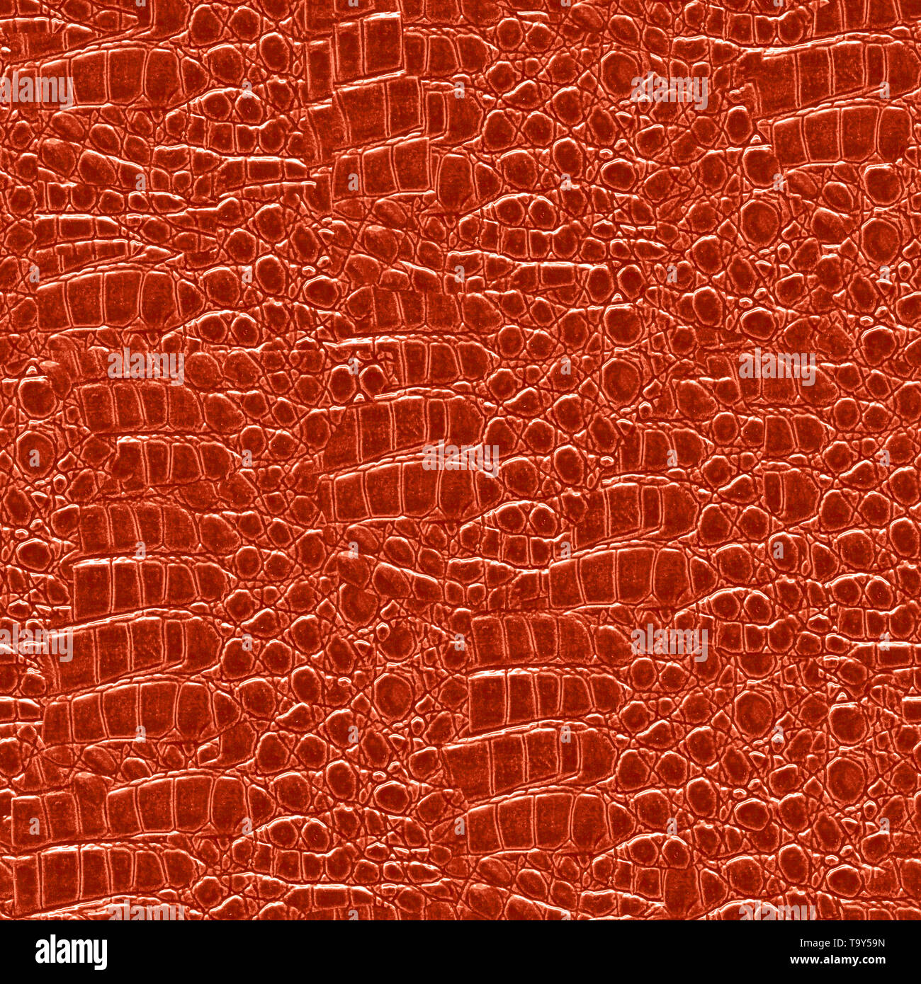 Crocodile Hide Seamless Texture Tile Stock Photo - Alamy