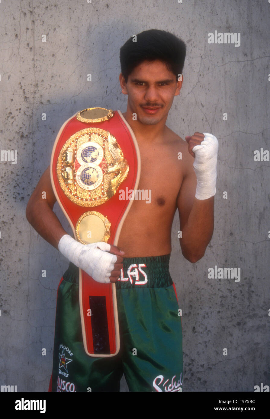 Los Angeles, California, USA 19th April 1994 (Exclusive) Boxer Rafael ...