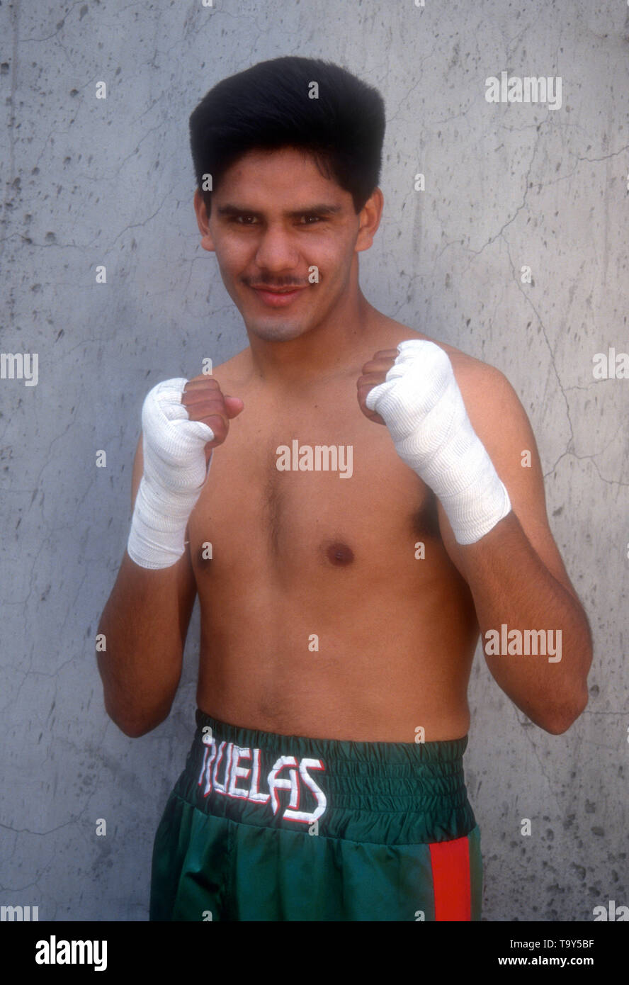 Los Angeles, California, USA 19th April 1994 (Exclusive) Boxer Rafael ...