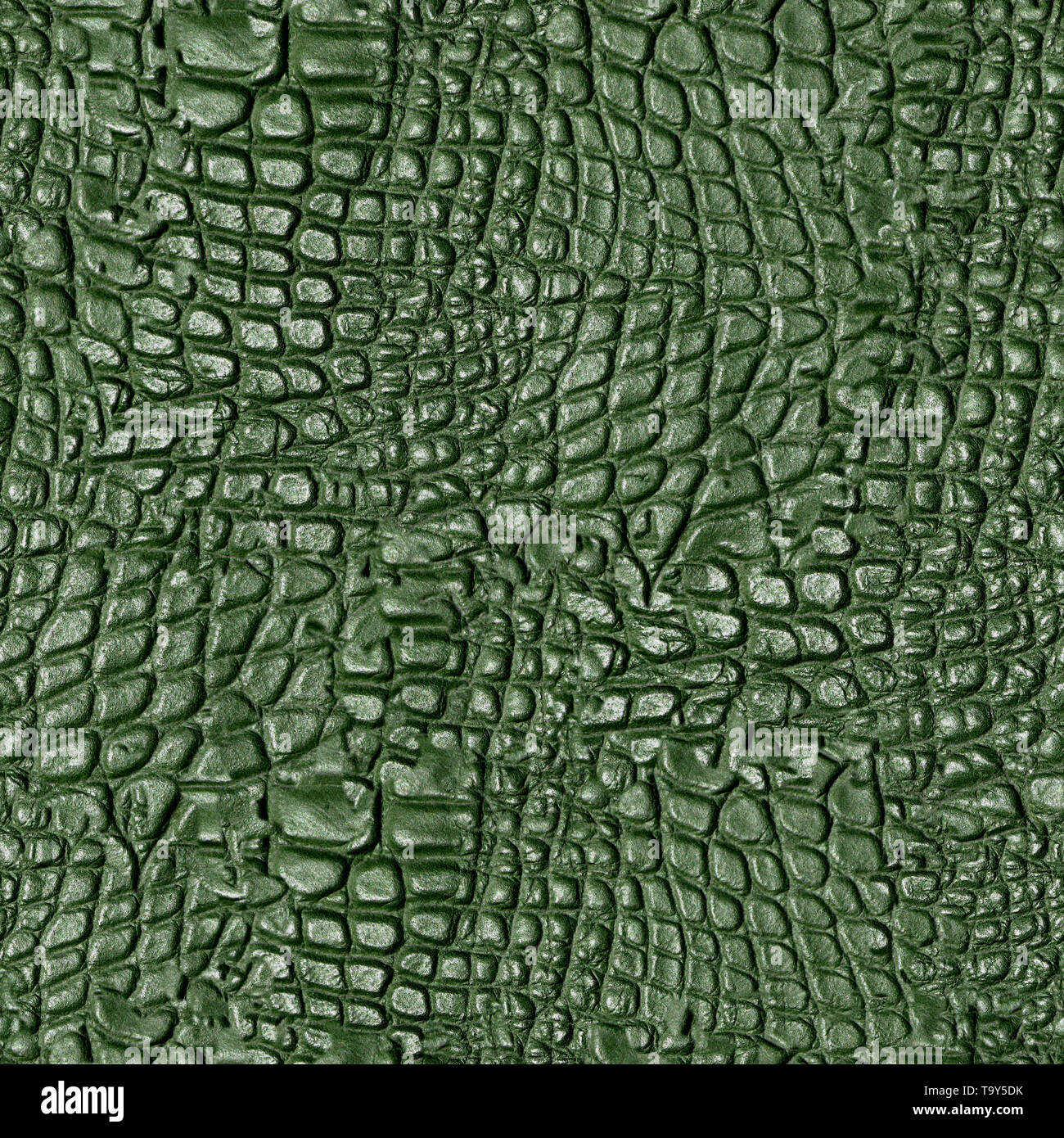 Alligator Hide Seamless Texture Tile Stock Photo - Alamy