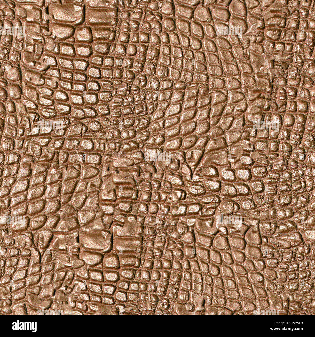Alligator Skin Texture Seamless