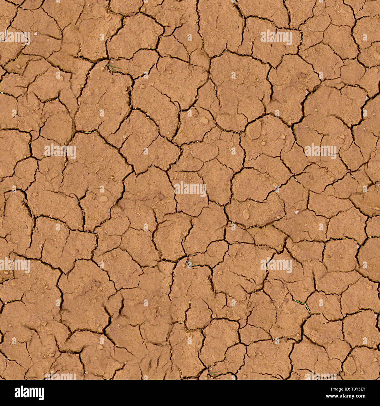 Cracked Desert Ground Texture