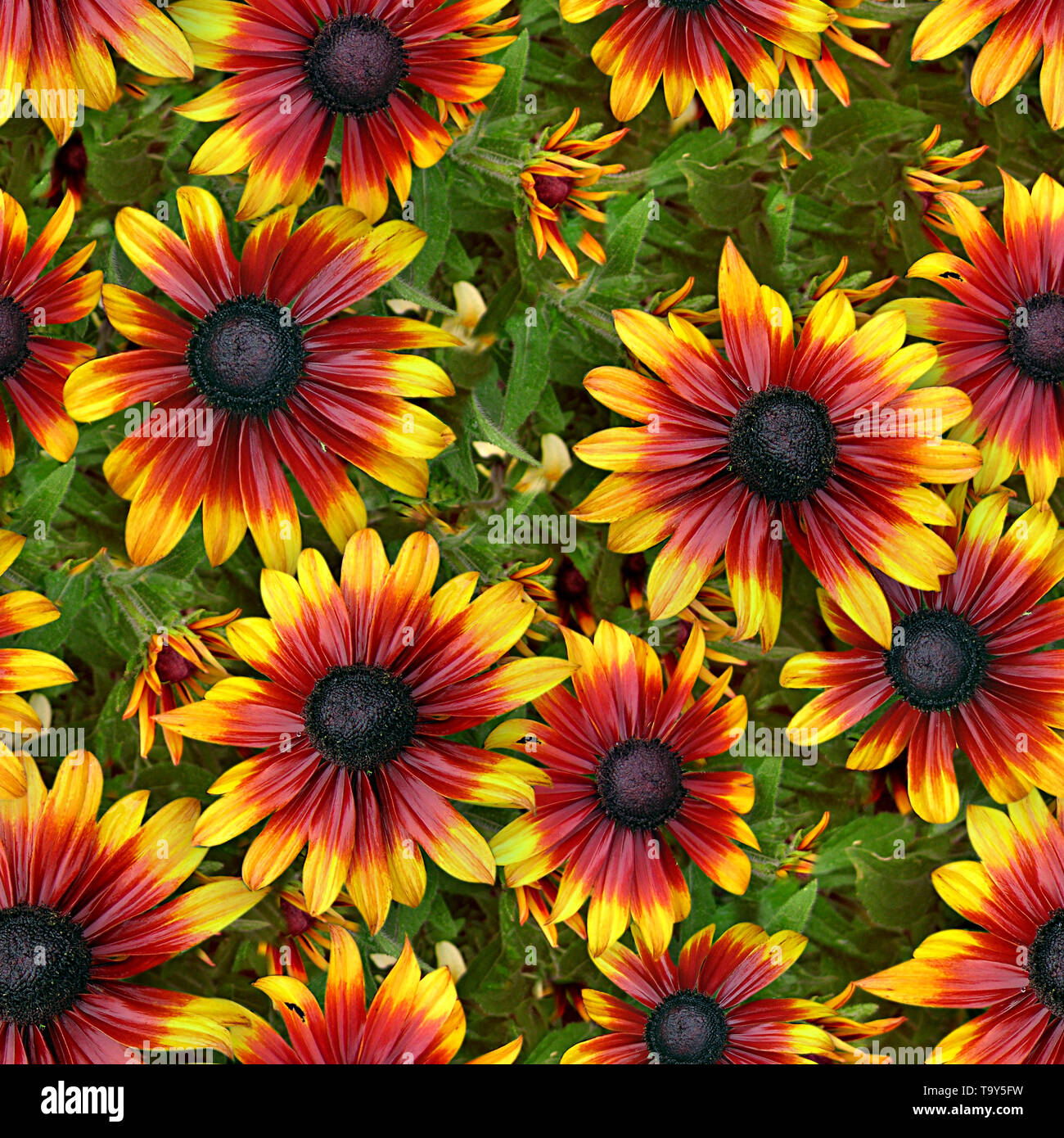 Flowers Seamless Texture Tile Stock Photo - Alamy