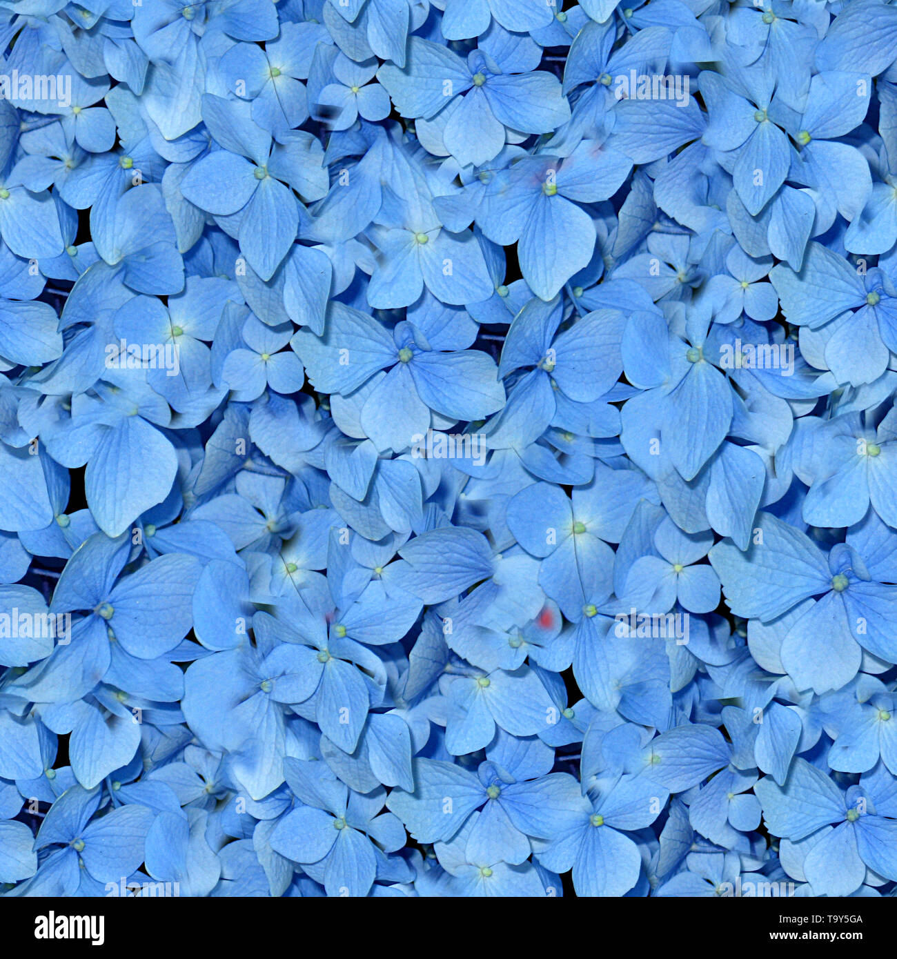 Flowers Seamless Texture Tile Stock Photo - Alamy