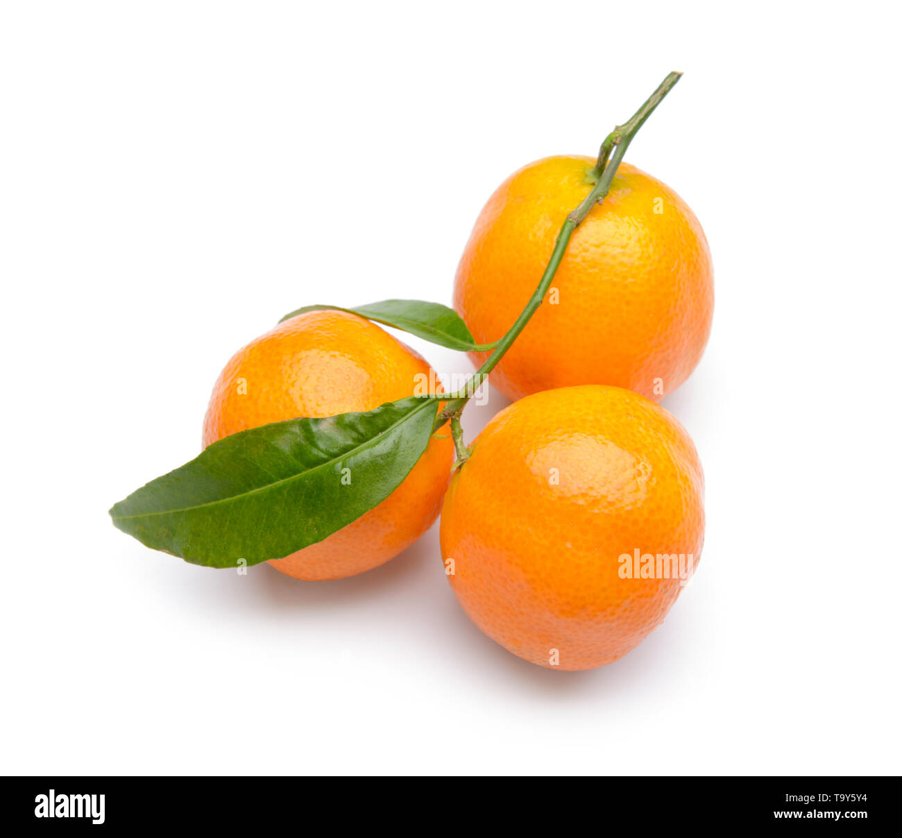 Tangerines on branch Cut Out Stock Images & Pictures - Alamy
