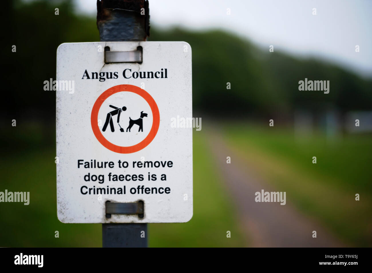 Angus Council dog faeces warning sign on post in Hillside Park, Angus ...