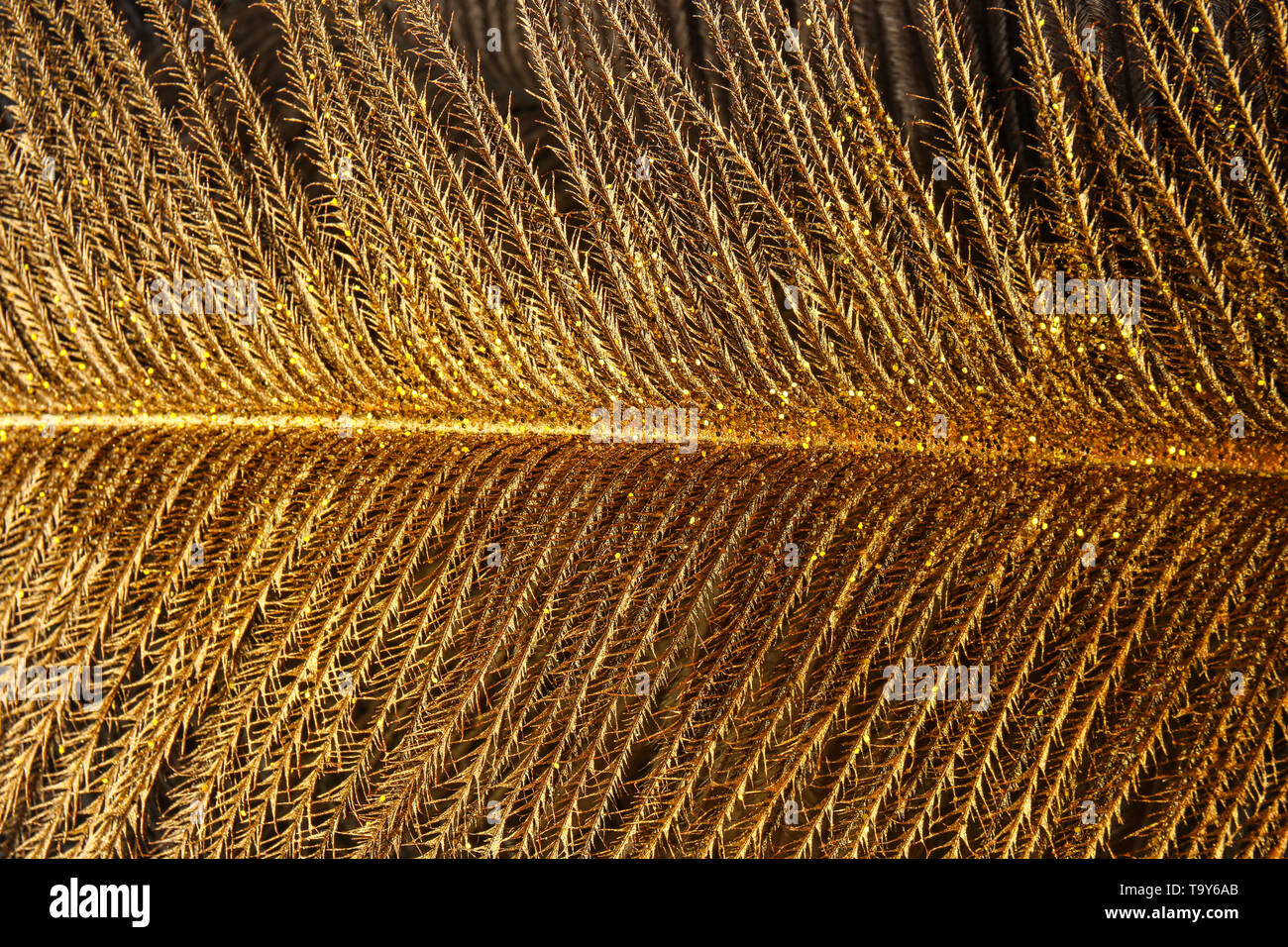 Texture of golden feather, closeup Stock Photo - Alamy