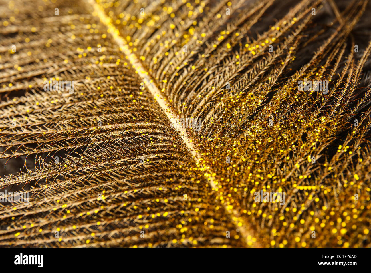 Golden feather hi-res stock photography and images - Alamy