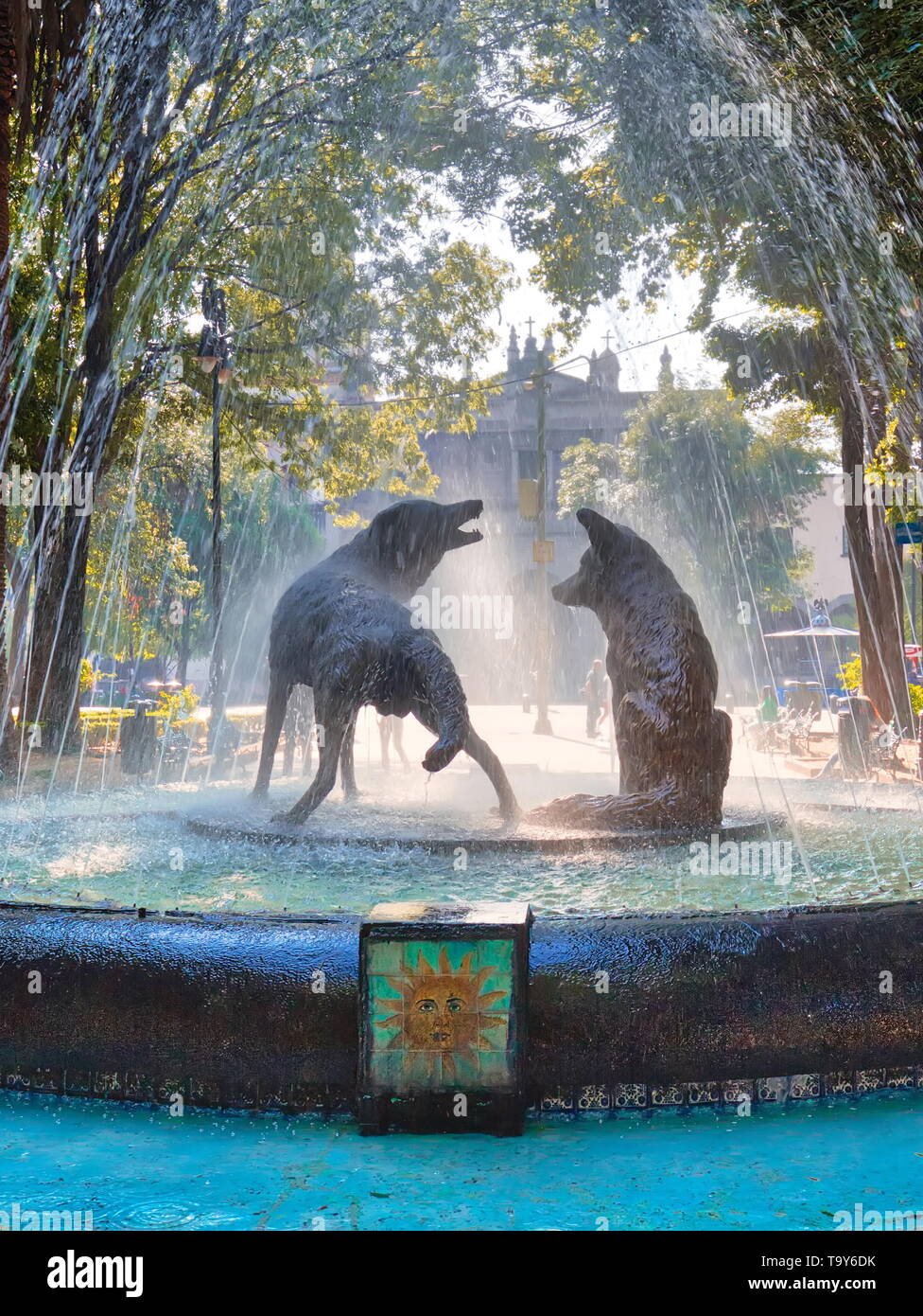 Coyoacan, Mexico City, Mexico-20 April, 2019: Drinking coyotes statue ...