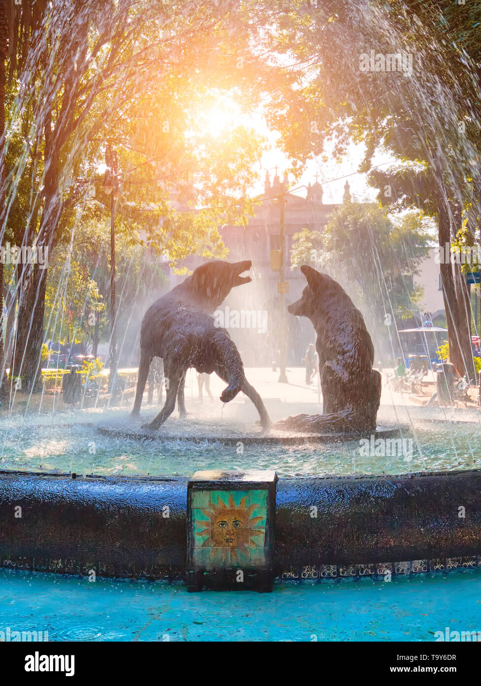 Drinking coyotes statue and fountain in Hidalgo Square in Coyoacanc ...