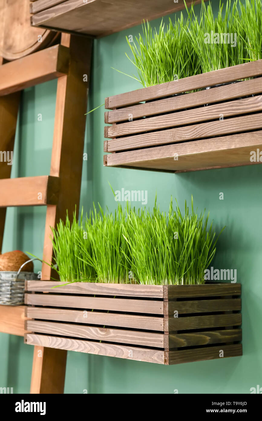 Interior design grass growing indoors hi-res stock photography and ...