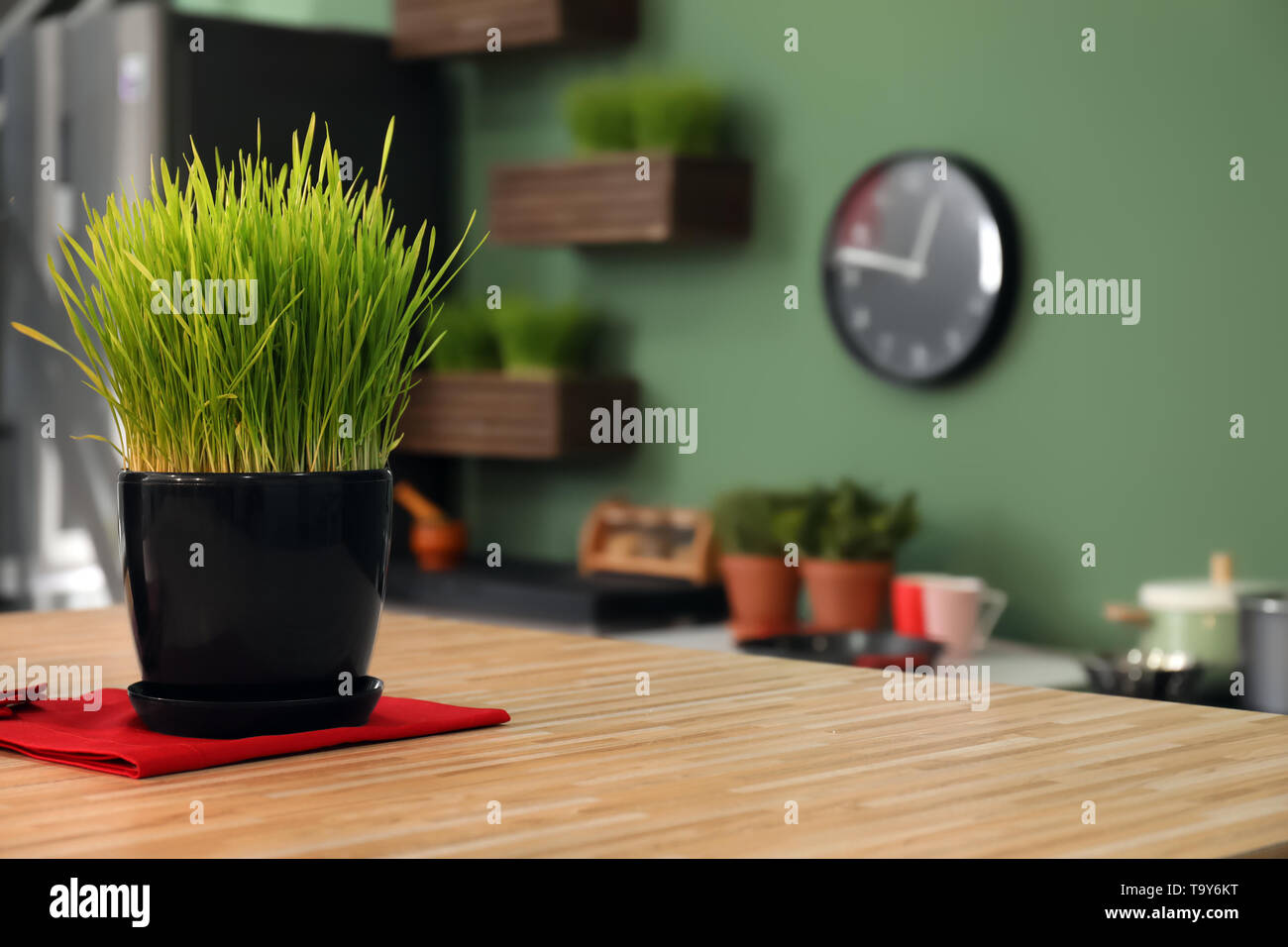 Interior design grass growing indoors hi-res stock photography and ...
