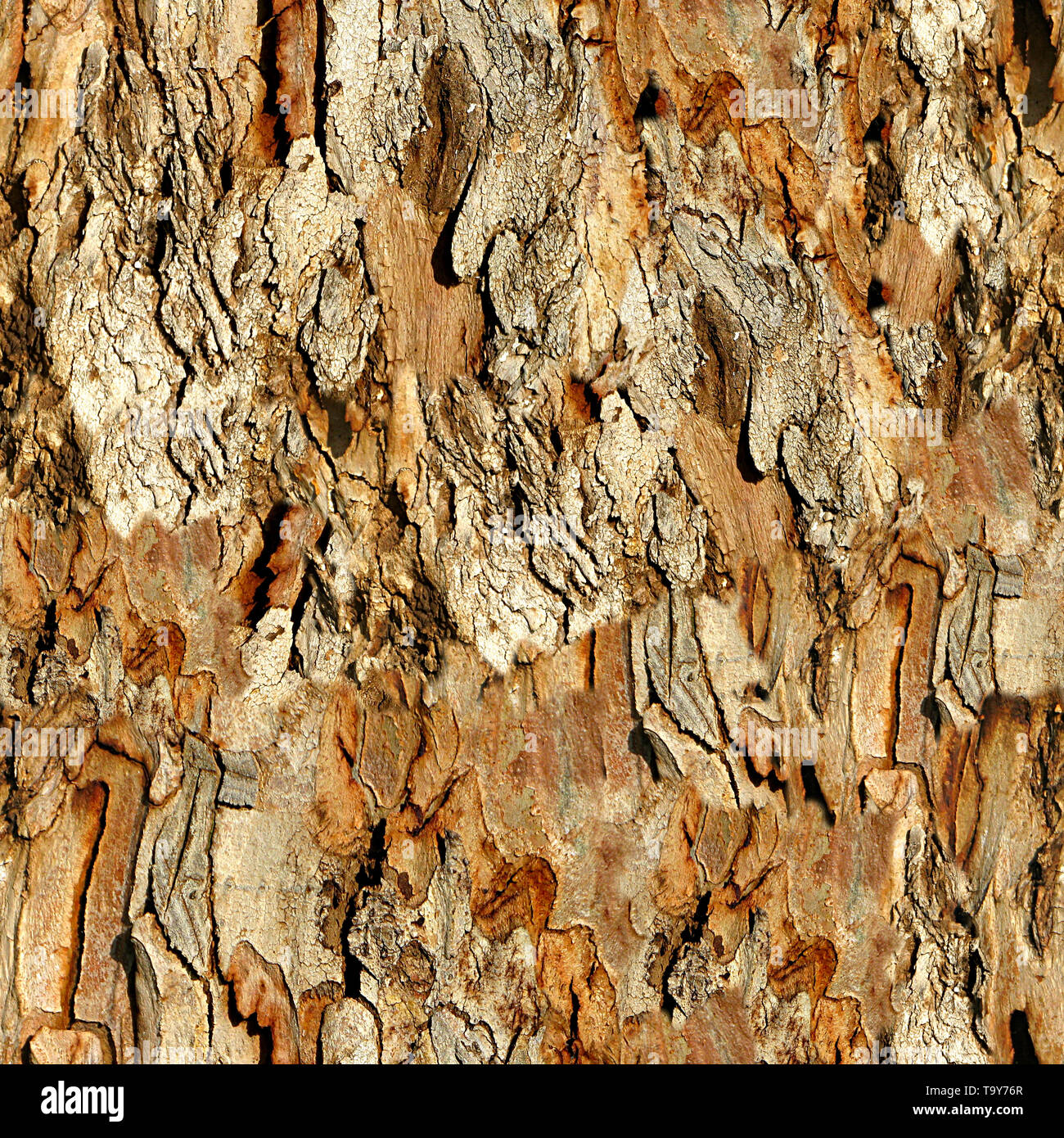 Tree Bark Seamless Texture Tile Stock Photo - Alamy