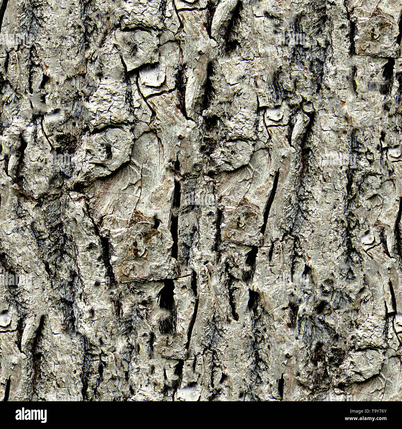 Tree Bark Seamless Texture Tile Stock Photo - Alamy