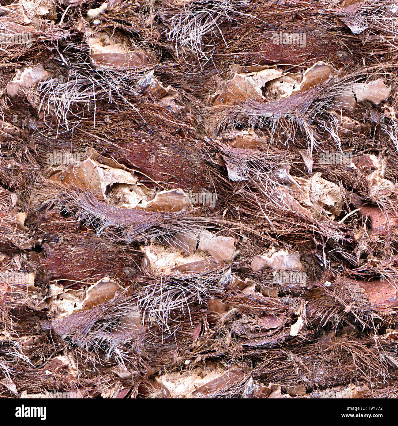 Tree Bark Seamless Texture Tile Stock Photo - Alamy