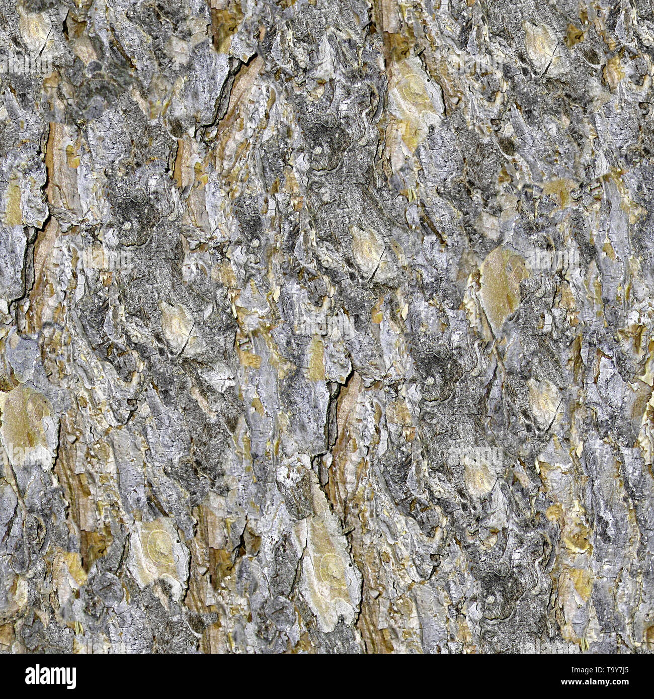 Tree Bark Seamless Texture Tile Stock Photo - Alamy