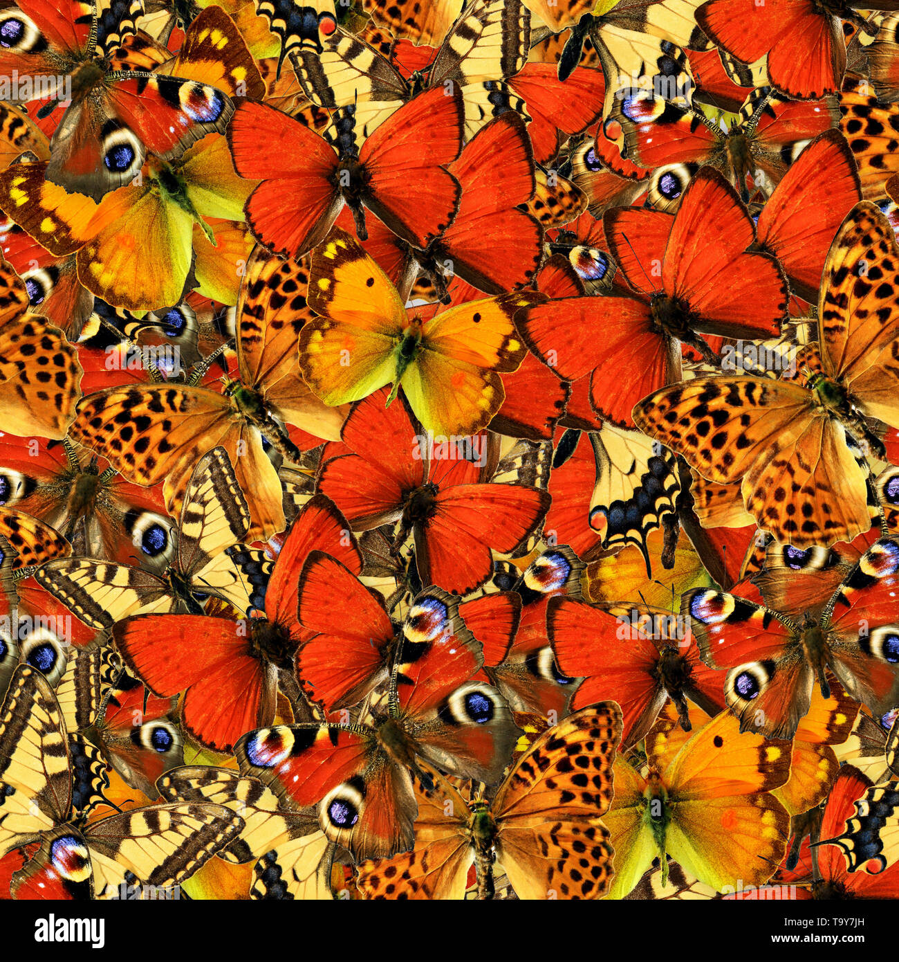 Butterflies Seamless Texture Tile Stock Photo - Alamy
