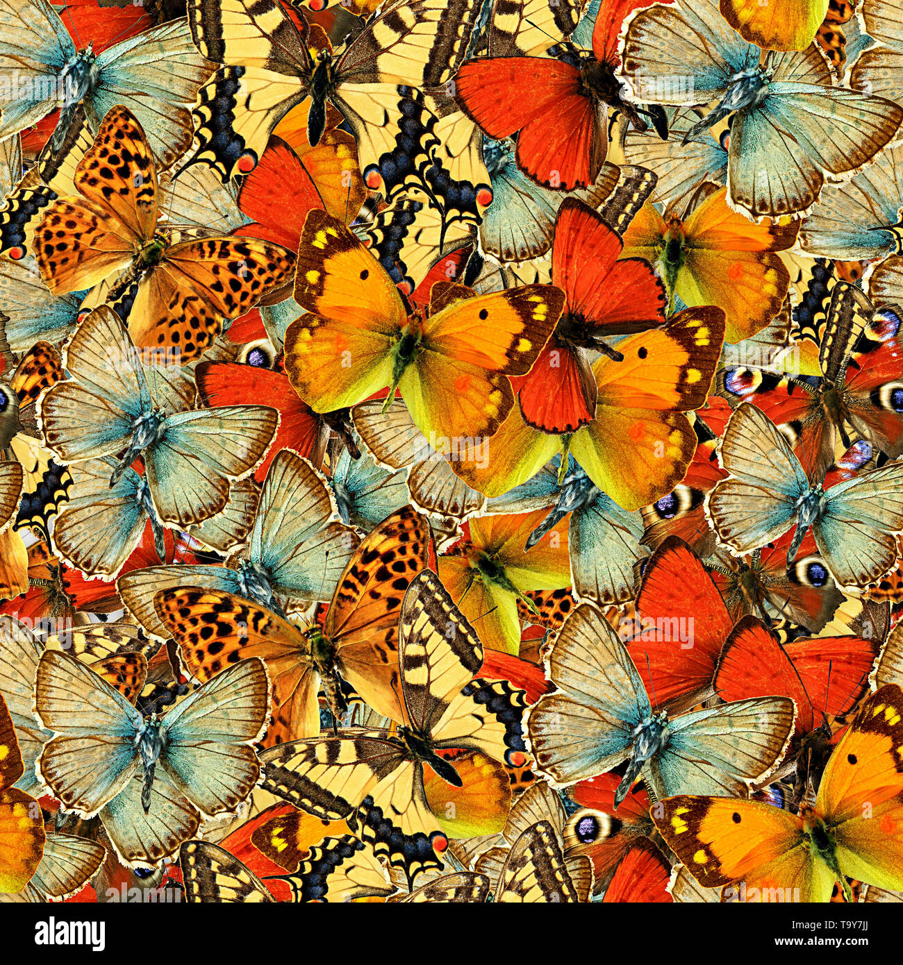 Butterflies Seamless Texture Tile Stock Photo - Alamy