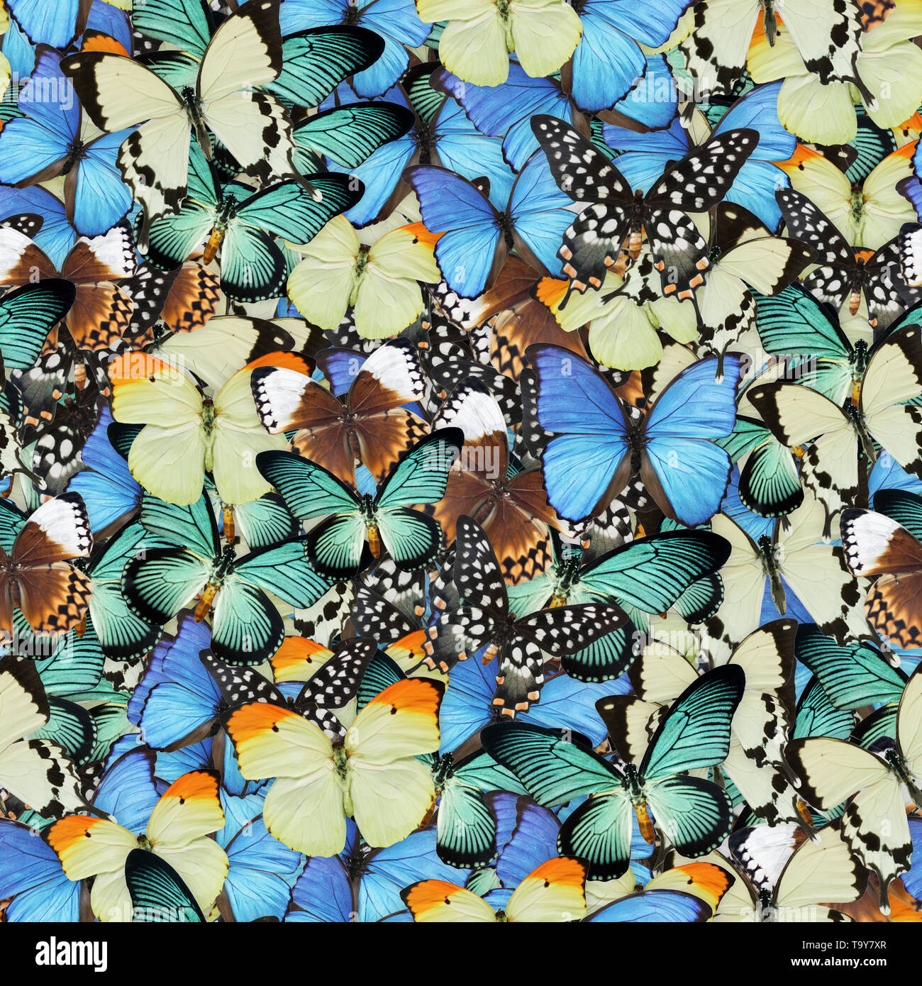 Butterflies Seamless Texture Tile Stock Photo - Alamy