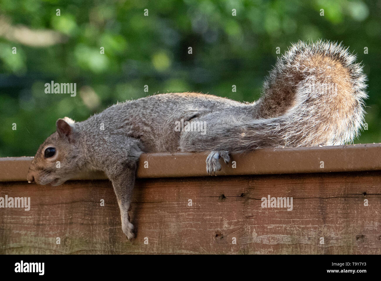 Flat out hi-res stock photography and images - Alamy