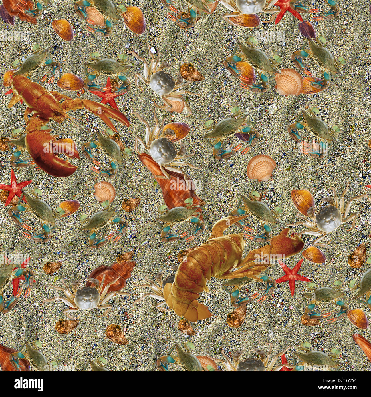 Ocean Floor Texture Seamless