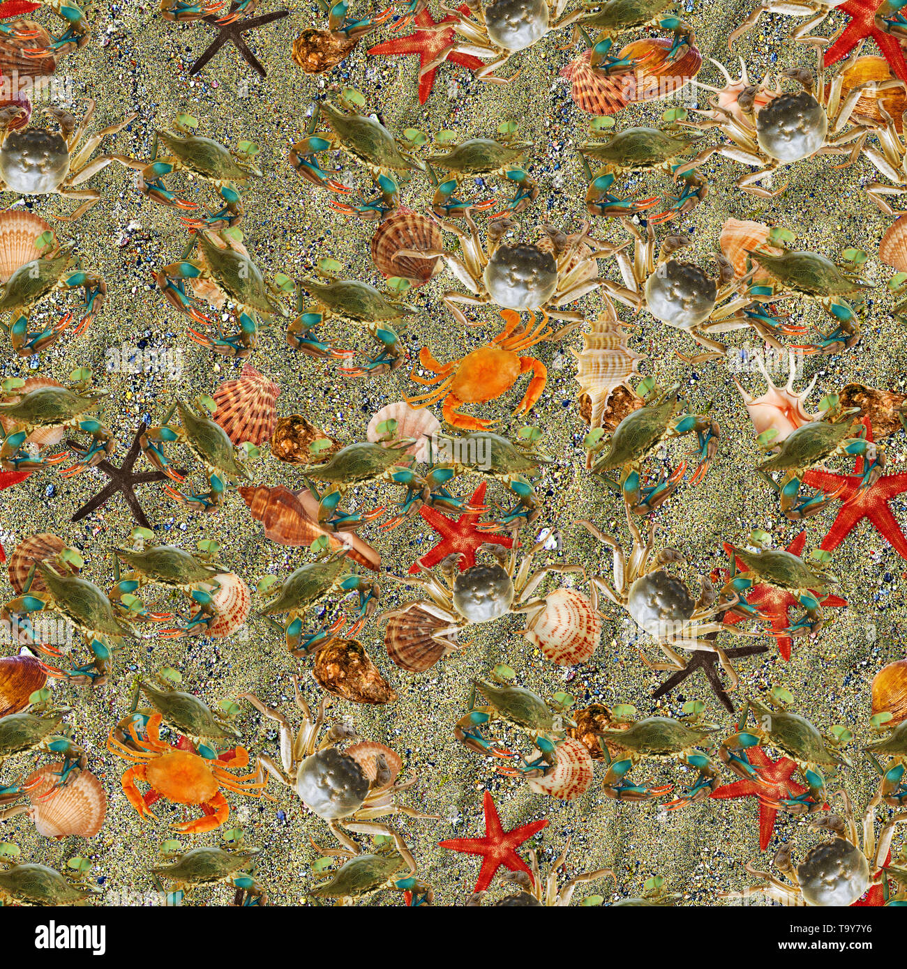 Ocean Bottom Seamless Texture Tile Stock Photo - Alamy