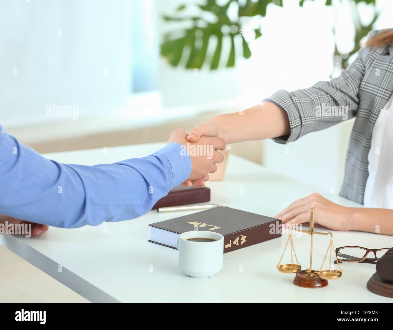 Female lawyer and man shaking hands in office Stock Photo - Alamy