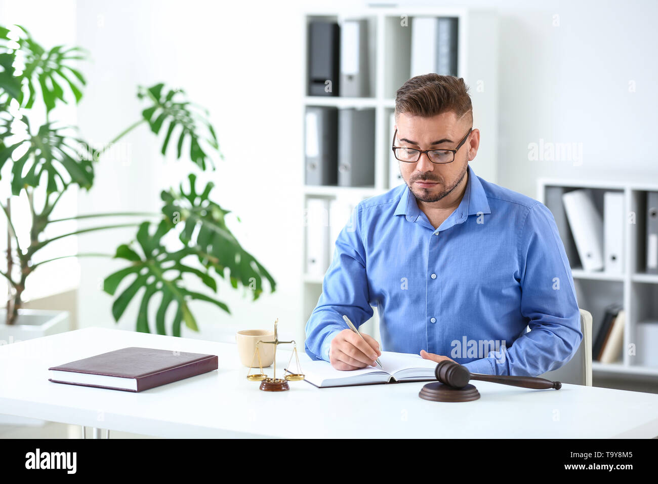 Handsome male lawyer working in office Stock Photo - Alamy