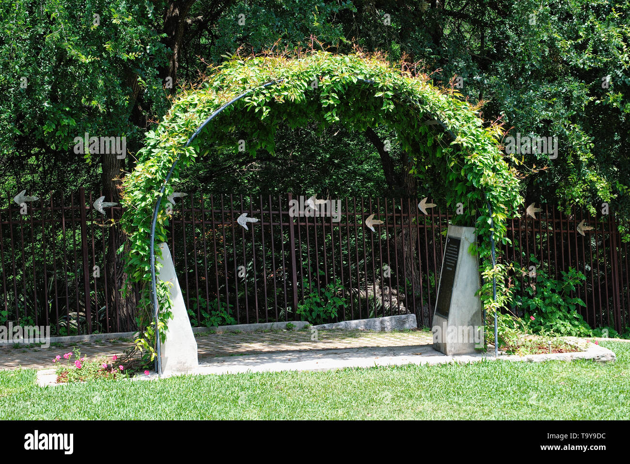 Arch covered with leafy vines in a garden Stock Photo - Alamy