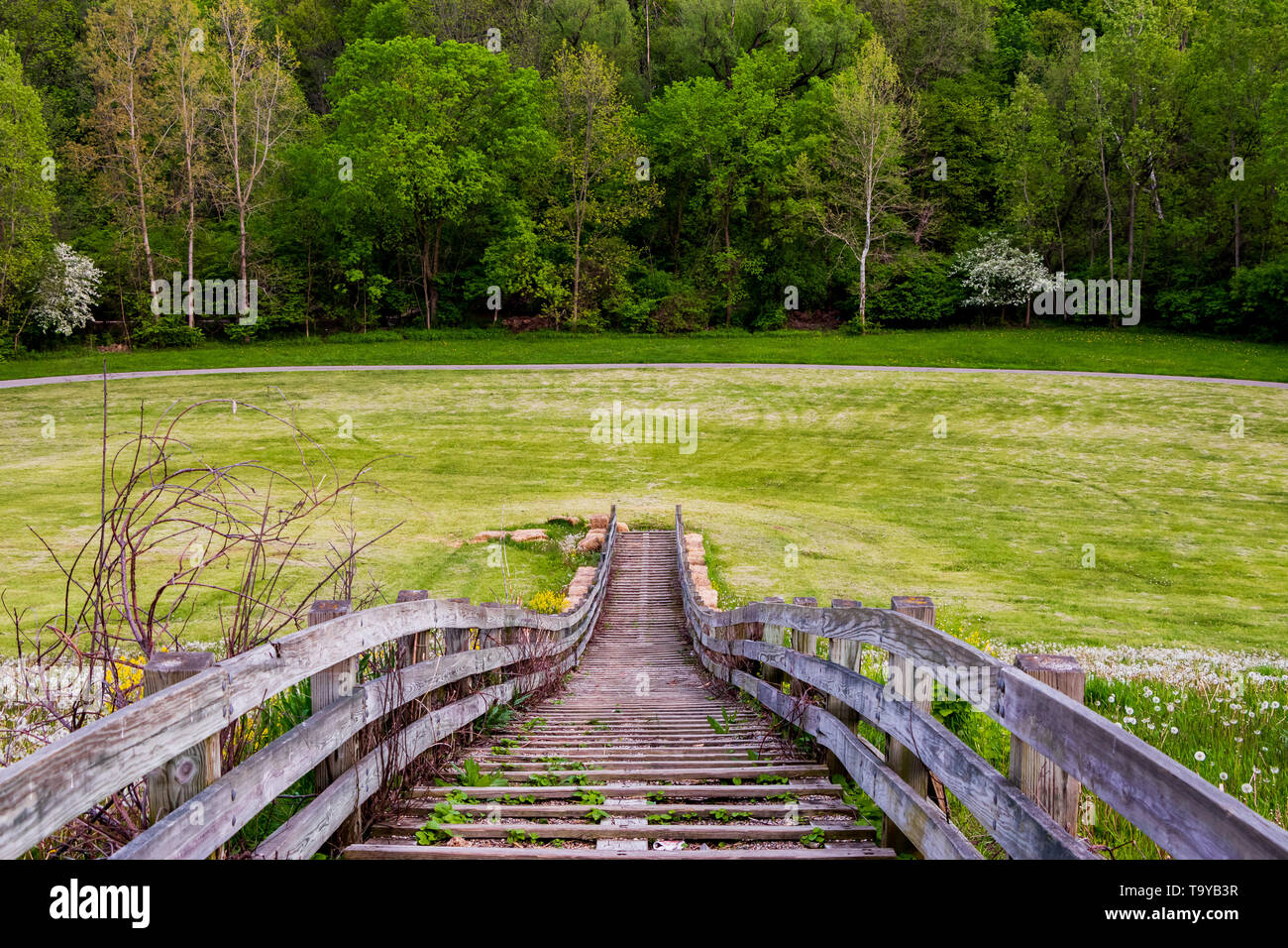 Stairways to Wilderness, Hines Park, Michigan Stock Photo - Alamy