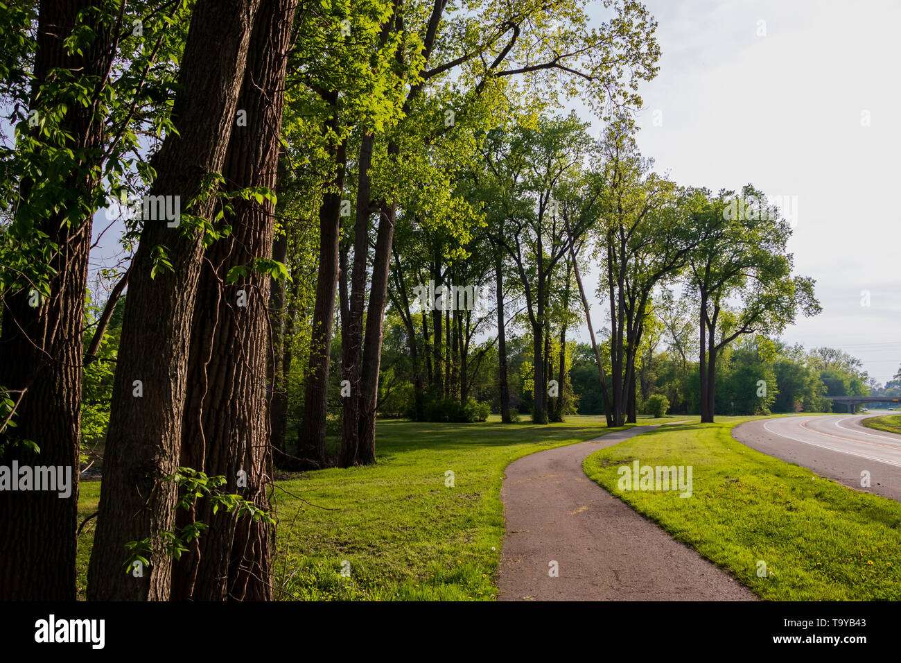 Trees at Hines Park, Pure Michigan Stock Photo - Alamy