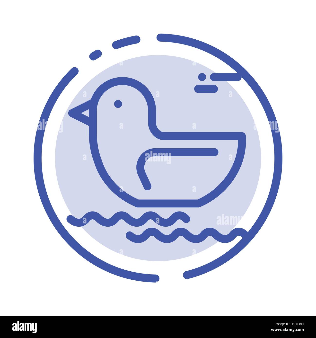 Dotted Duck High Resolution Stock Photography and Images - Alamy