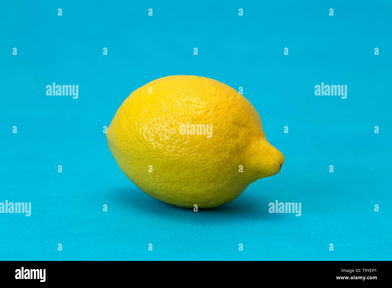 The big lemon hi-res stock photography and images - Alamy