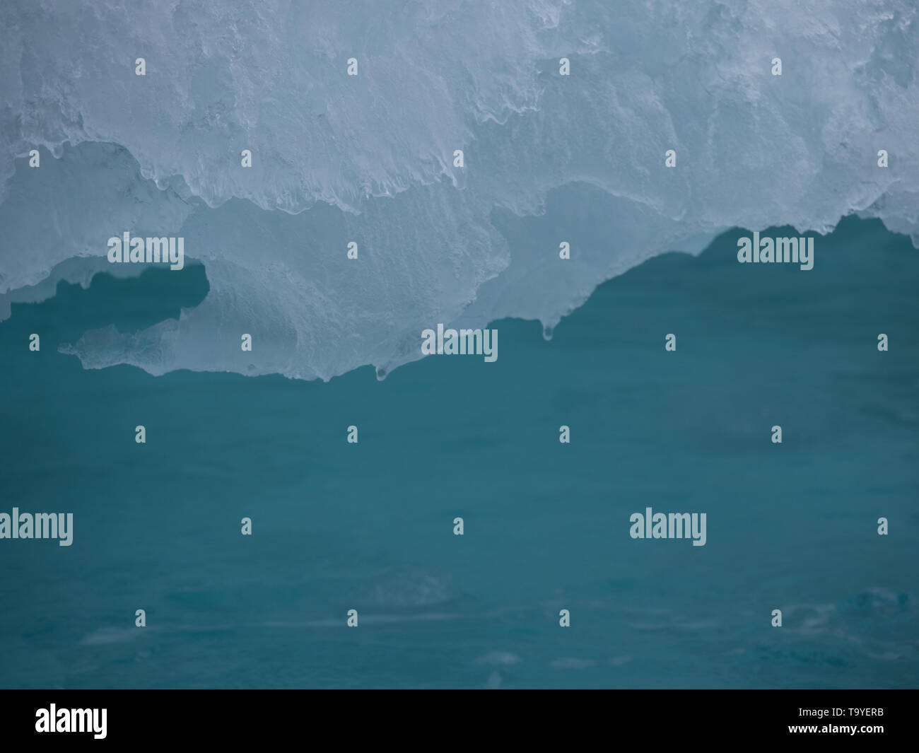 Light blue sea ice dripping into the aquamarine blue water of Esperanza ...