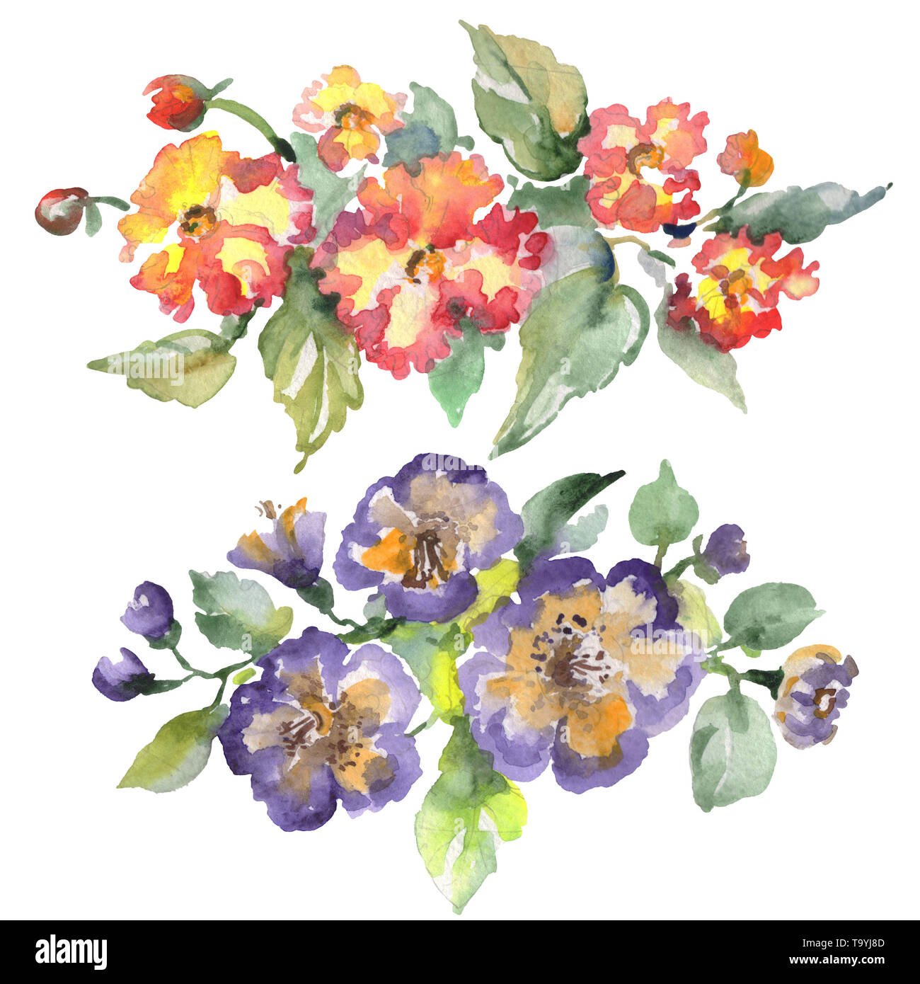 Bouquet floral botanical flowers. Watercolor background illustration ...