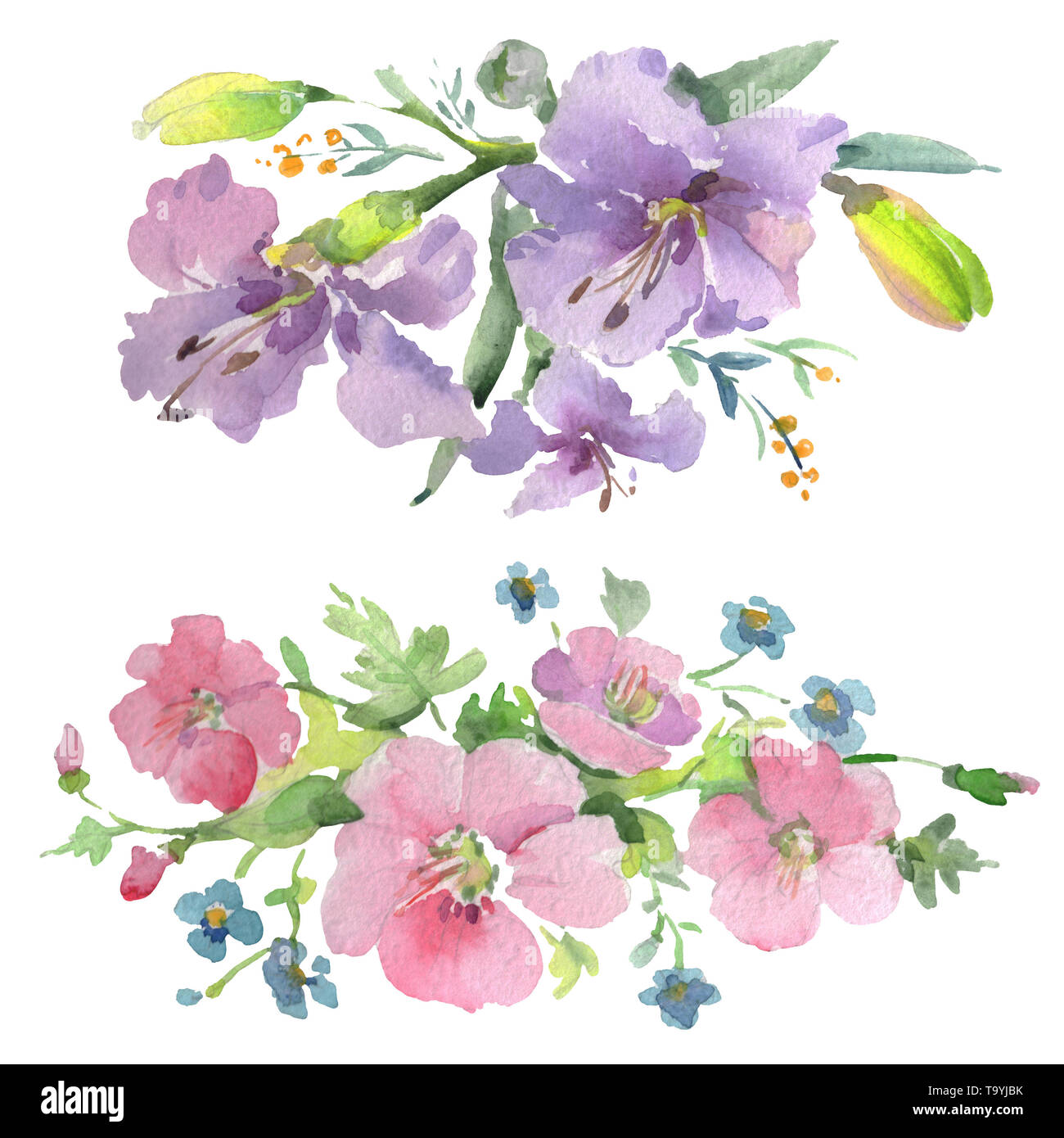 Bouquet floral botanical flowers. Watercolor background illustration ...