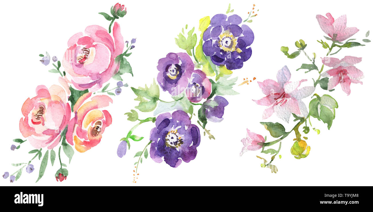 Bouquet floral botanical flowers. Watercolor background illustration ...
