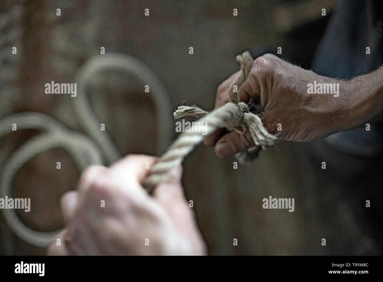 Close up of hands of an elderly man tying a knot in a thick rope Stock ...