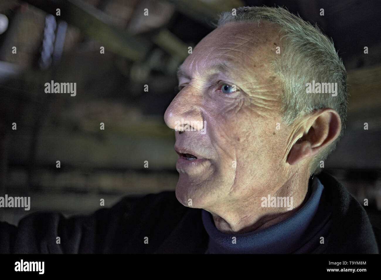 Portraits of a Dutch miller at his windmill in the Netherlands Stock ...