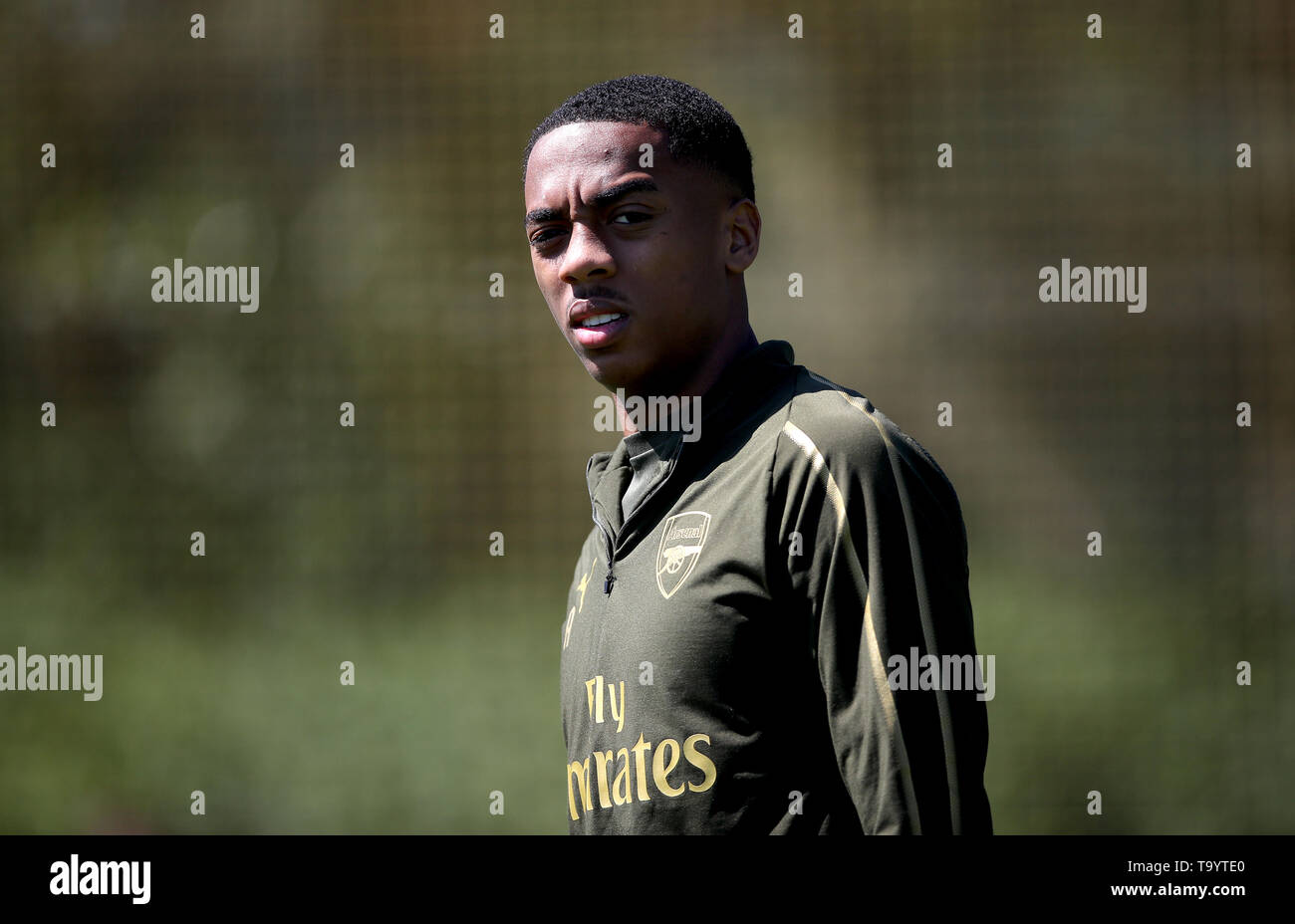 Joseph willock hi-res stock photography and images - Alamy