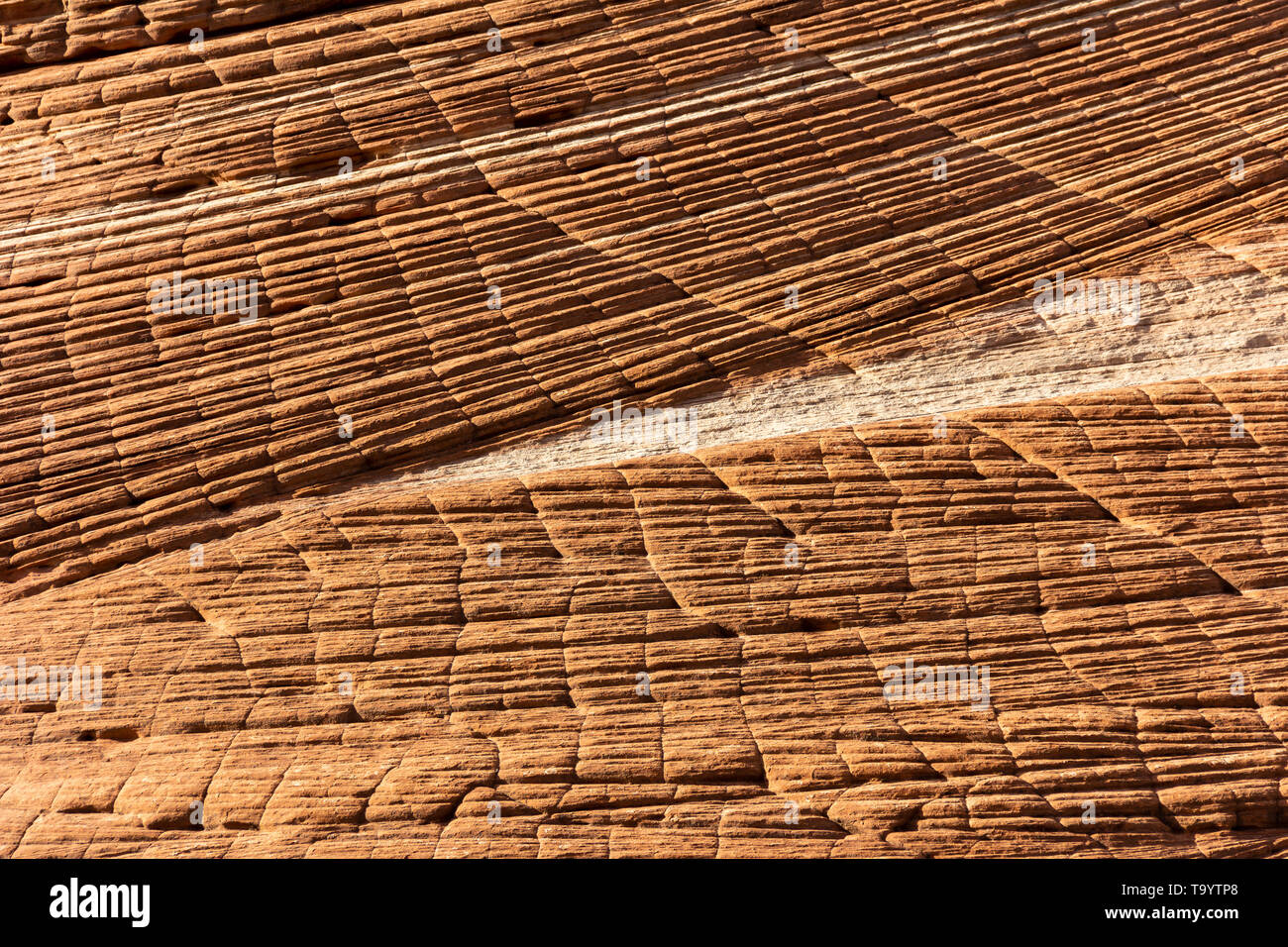 Unique textures hi-res stock photography and images - Alamy