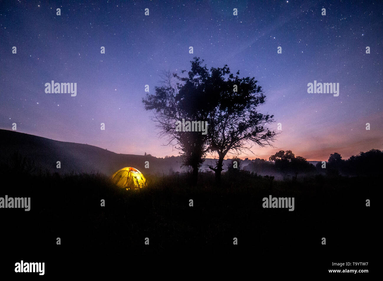 yellow tent under tree at summer starry night with fog Stock Photo - Alamy