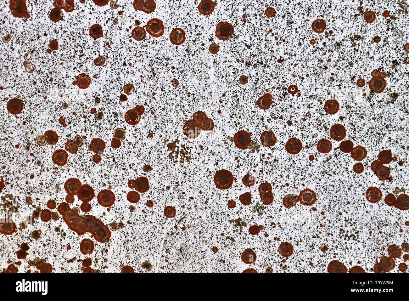 Detailed close up surface of rusty metal and steel with lots of ...