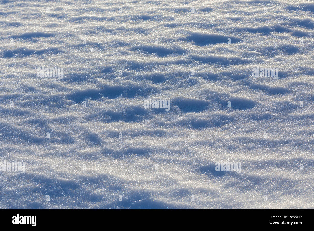 closeup snow field background with selective focus Stock Photo - Alamy