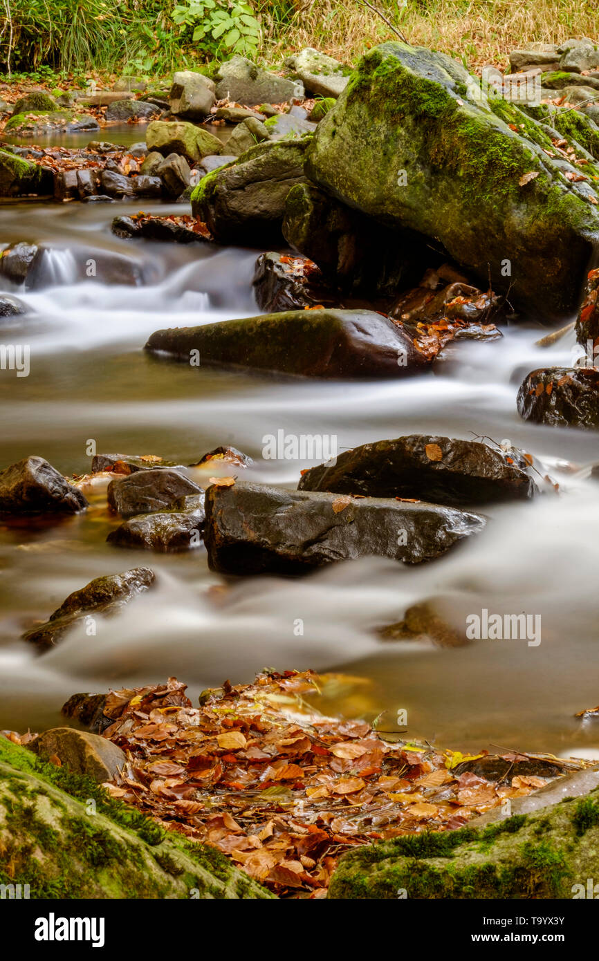 Arce valley forest hi-res stock photography and images - Alamy