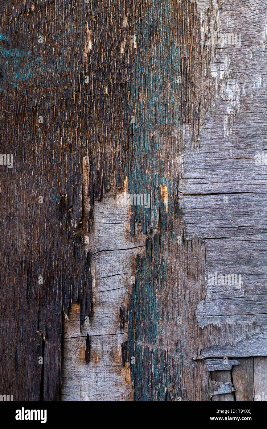 old destroyed plywood sheet closeup surface texture Stock Photo - Alamy
