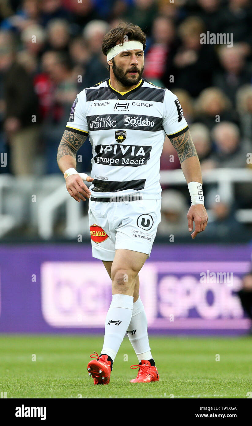 Pierre Aguillon, La Rochelle Stock Photo - Alamy