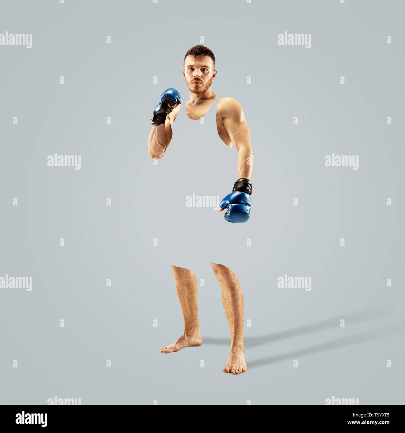 Single professional fighter isolated on grey studio background. Fit ...