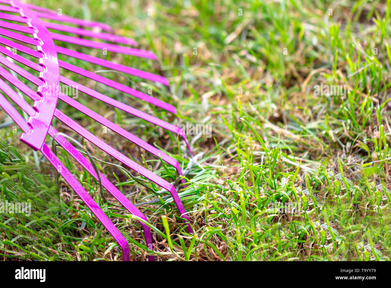 Child rake hi-res stock photography and images - Alamy